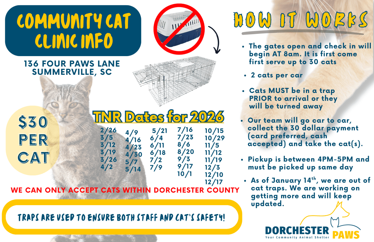TNR Community Cat Clinic 2026 | Dorchester Paws